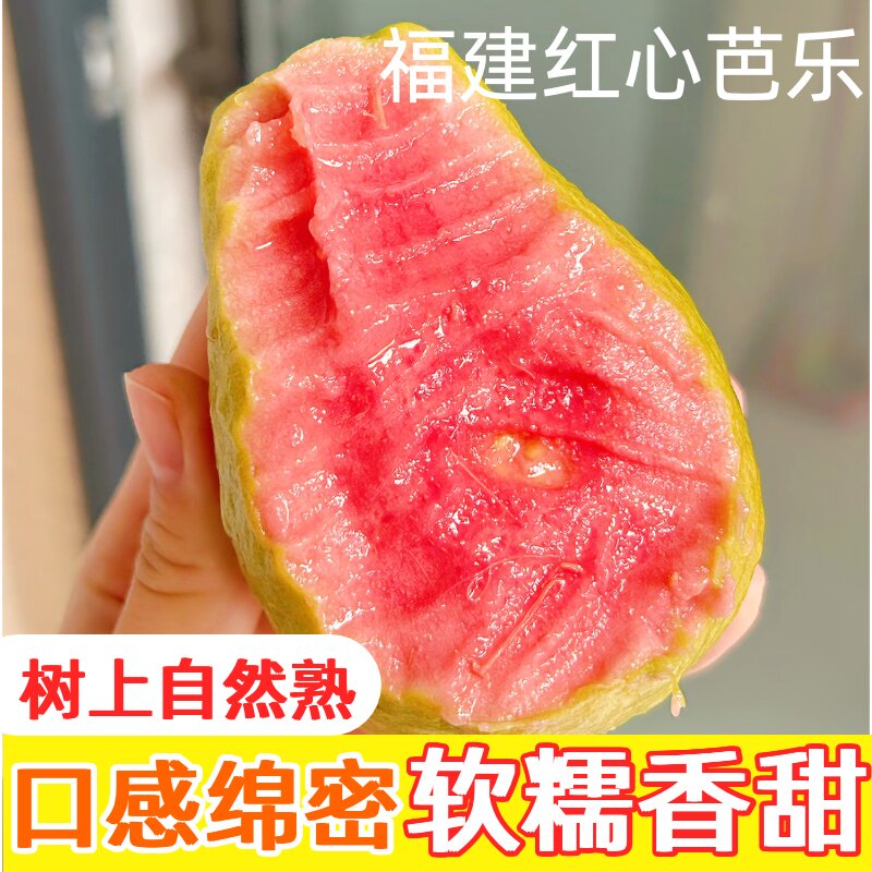 福建漳州红心芭乐番石榴芭乐新鲜低糖水果草莓奶油芭乐软糯香甜