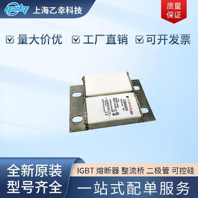 巴斯曼熔断器170M1812170M1813170M1824170M1825170M1826