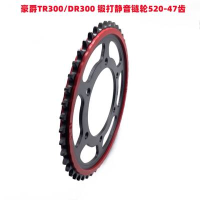 适用TR300DR300DR250XCR300静音大小牙盘