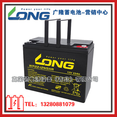 LONG广隆蓄电池WP22-12NSHR/12V22AH电源数据中心蓄电池