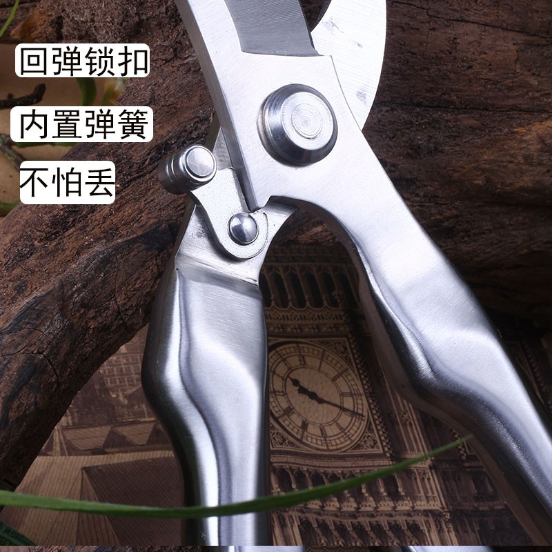 全钢不锈钢树枝剪家用园艺剪果树修花剪摘果剪多功能自动回弹剪刀