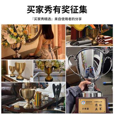 花摆件客瓶厅插北花干TB-55901花欧家样板房创意电视柜轻奢金属奖