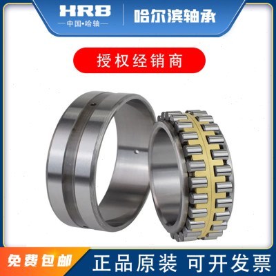 哈尔滨NN3020轴承3021机床3022主轴3024双列3026K/W33高P5速P4HRB