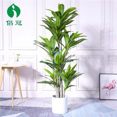 亚马热仿真巴HGF西铁木件假树室内客卖厅落地装饰摆孙大型植物盆