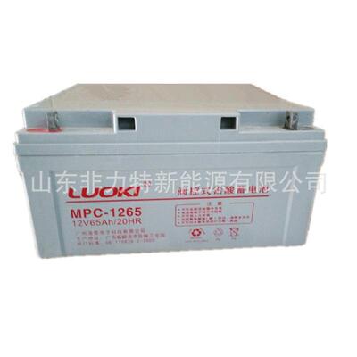 洛奇蓄电池MPC-1265CH12V65AH照明监控太阳能光伏配套电源