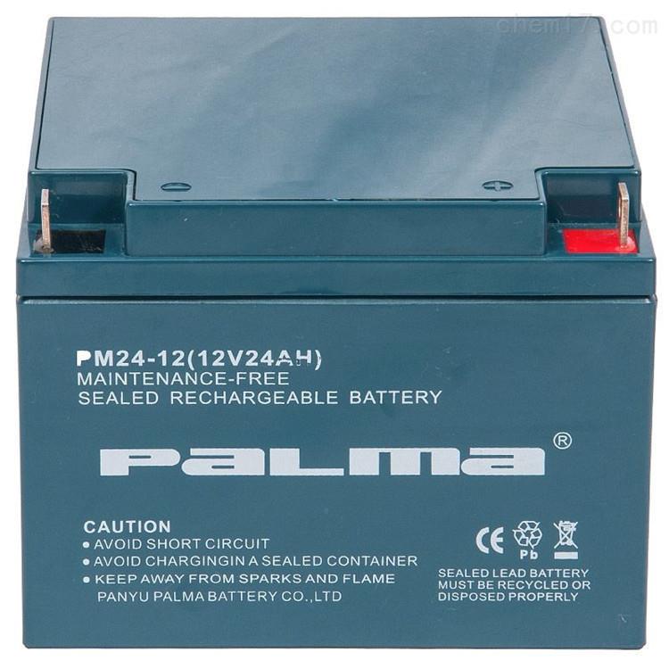 12V24AH八马蓄电池PM24-12palma蓄电池palma免维护铅酸电池其他