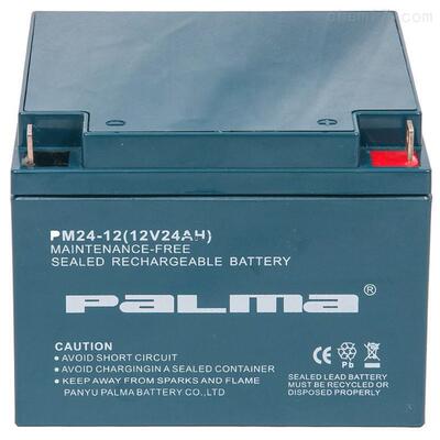 12V24AH八马蓄电池PM24-12palma蓄电池palma免维护铅酸电池其他