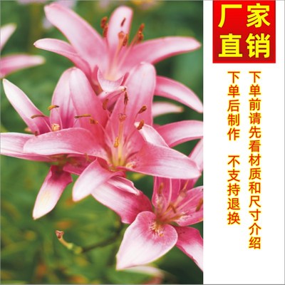 百合花图自然风景画家居装饰墙贴画客厅餐厅壁画红色百合花贴纸