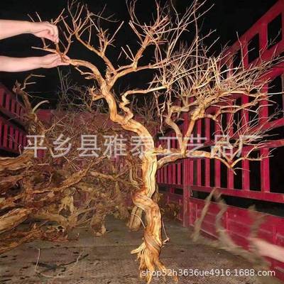 道天然树枝造型仿MCN真枯树杆人造地落具许愿假树干枝树室内装饰