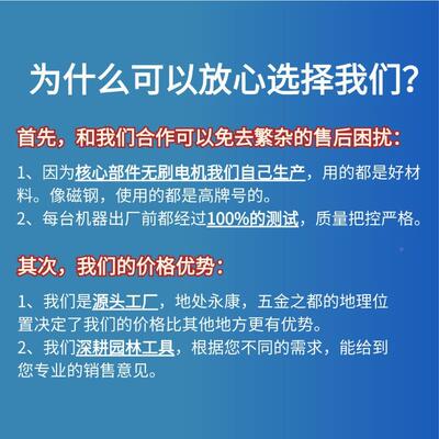 枝无刷锂电锯2寸34085户家外园林伐木修锯用1手持充电式电链锯