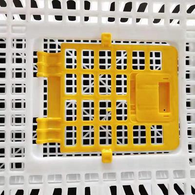 塑料鸡笼厚输鸡加笼周转箱家成用运鸡养殖AKE笼蛋鸡笼子大号厂家