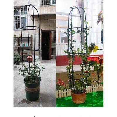 阳台艺花月架爬grvd5543藤架季线莲户外柱铁形欧式花架盆载花支撑