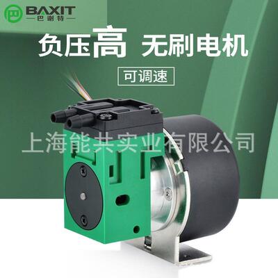 BAXIT巴谢特可调速微型真空泵12V/24V采样泵气体分析取样泵G4BW泵