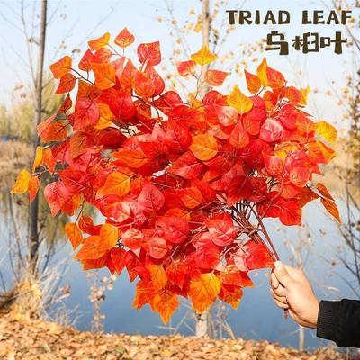 假乌桕叶仿真乌桕叶秋冬天户外装饰假树枝塑料假树叶红黄色假叶子