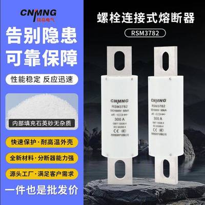 DC1000V充电桩熔断器RSM3782汽车熔断器(RS309,FWH100A,HEV)400A
