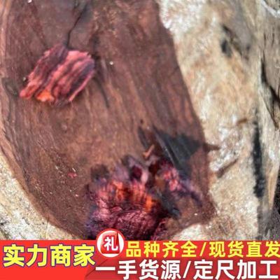 海黄木材 越黄原木 中美洲黄花梨 紫蝴蝶海南黄花梨 墨西哥黄花梨