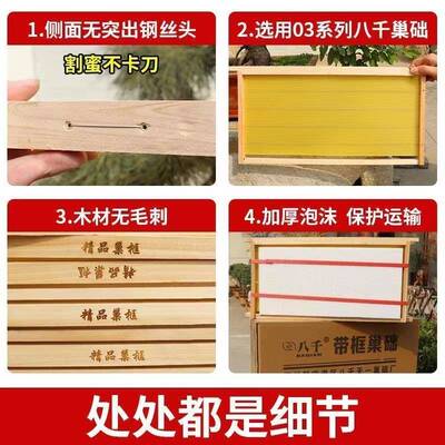 八千中框KAB蜂巢础巢框成带蜂蜂巢意巢脾蜜蜂巢基蜂箱专用工具养