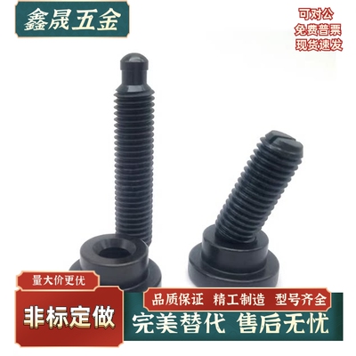 可调角度螺栓组件SGTP8/10/12/16-40 50 60 70 80 100125止端定位