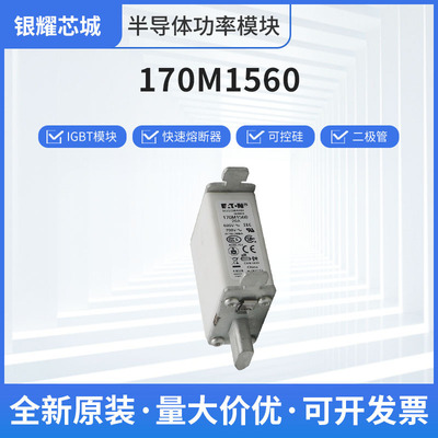 170M1560快速熔断器电路保护