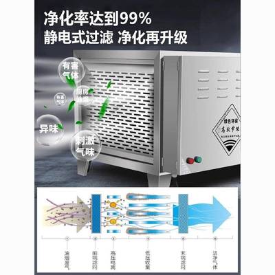 低空油烟净化器商用饭餐饮环厨房烧烤除EEU烟保无店烟净化除一味