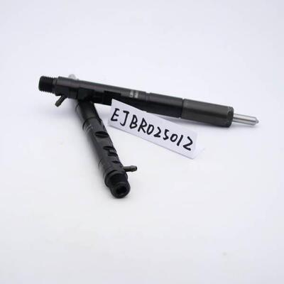ERIKCEJBR02501Z适用于德尔福喷油器EJBR02501Z