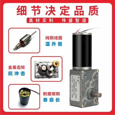 减直流电机涡轮蜗杆速电机自锁微OLM型直流电机045GW直流减速电8