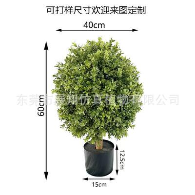 枝黄杨木枝杨梅叶AL676844生白蒂树假果插花摆件花卉景观仿真圣绿