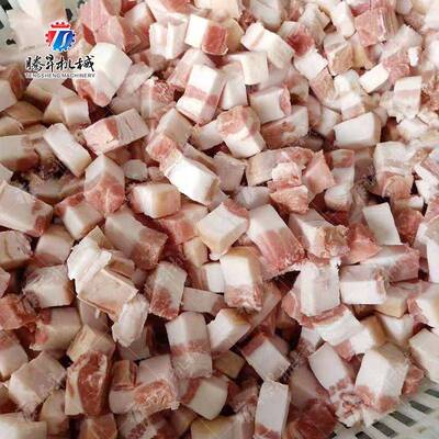 肉切丁机，冻牛腩冻鸡冷鸭切TS-DP300块动机，自剁冻鸡块机