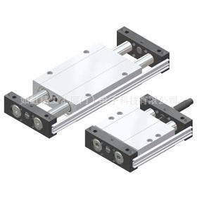 TEAMWAY气缸DNB40M420-LN01A-2 DJA40N20-Z