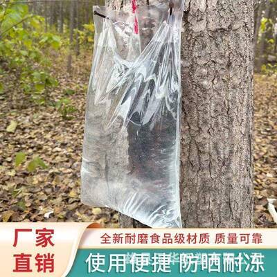 白桦汁采装集袋加厚耳密封液体包袋食品级蓄水挂式EJU树树汁采集