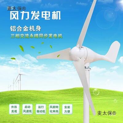 家用小型风力发电机大统麦功率1000W风光补系小形NFW路灯船用2太