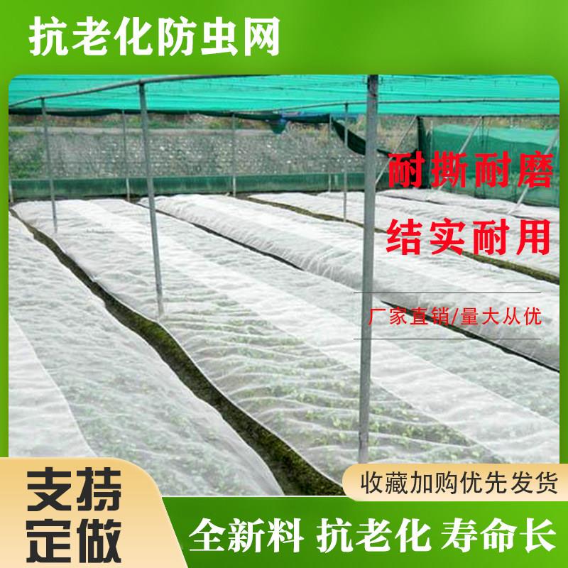 防虫网大棚专用农用蔬菜果园网猪场防蚊蝇网尼龙网养殖网加密加厚
