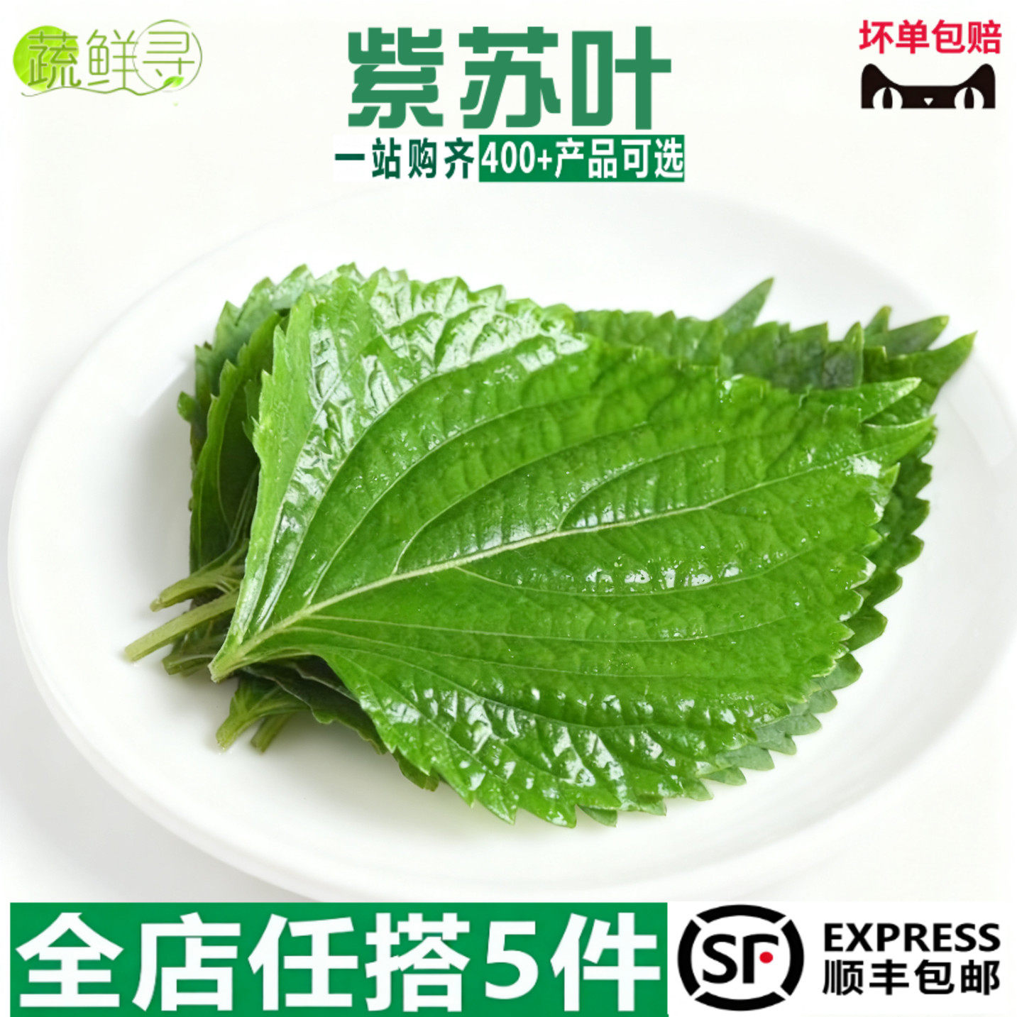 紫苏叶新鲜苏子叶大叶40片韩国烧烤包饭日本寿司料理刺身西餐摆盘