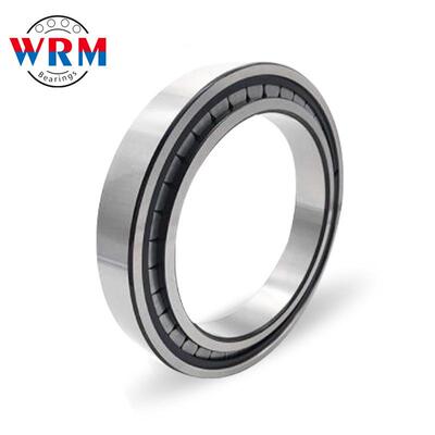 WM载满滚R柱圆柱滚子轴承N496N4918重N41920V轴承