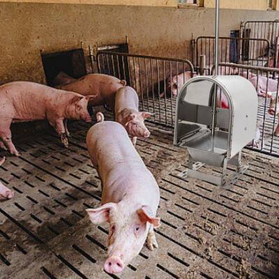 猪用防粪饮水盆节ZMN器水器饮水养场自动水位控殖制器锈钢不猪饮