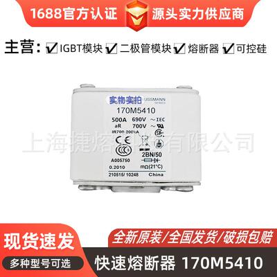 低压快速熔断器 170M5405 170M5408 170M5410 电子元器件库存充足