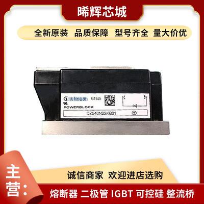 DD60HB160 DD100HB120型号齐全 大功率可控硅双向现货标准封装