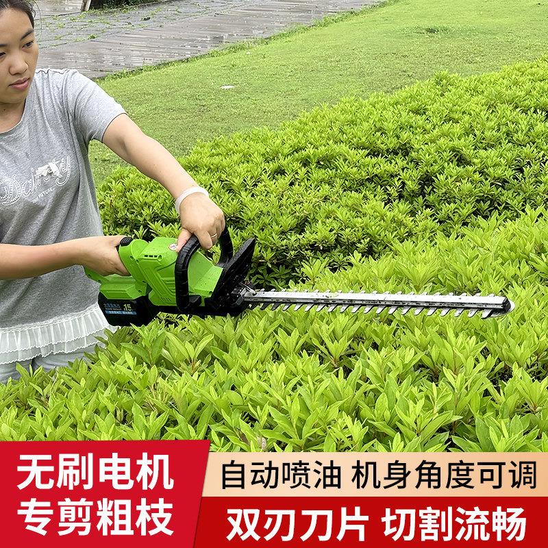 锂电绿篱机无刷电动修枝剪园林绿化修枝机采茶机茶树修剪开荒修枝