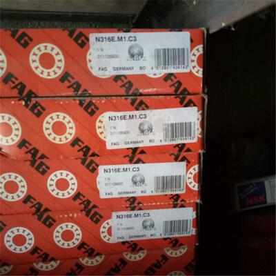 FN316E.M1.C81433德国进口轴承NNUNJ304305306G307308A09