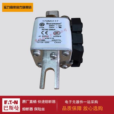 熔断器170M3120 170M3121 170M3122 170M3123 170M4108 170M4109