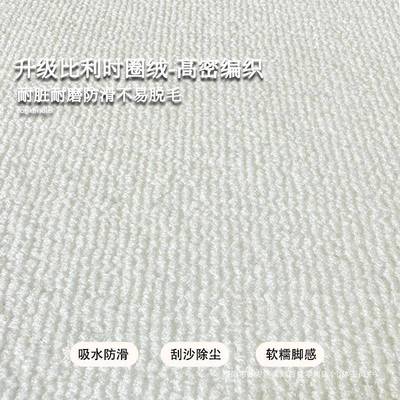 高端脏入户耐门地垫用现代风别墅大门口防滑ltao8893家脚垫子进门