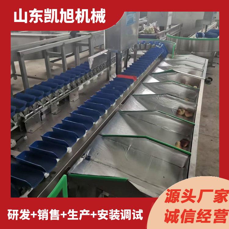 果全自动INY重量多级克重分选机西红柿称型重分选果机小智能水选