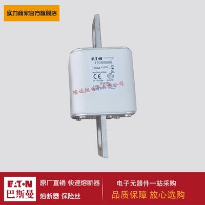 熔断器170M6691 170M6692 170M6693 170M6694 170M6695 170M6696