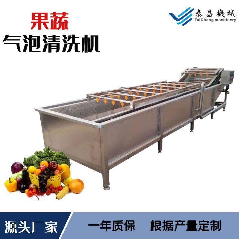 食品包装袋清洗风干流水线全自动大枣蜜桔清洗抛光设备洗菜洗果机