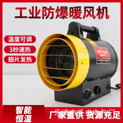 厂家直销防爆工业电热暖风机养殖场取暖器热风机BGP1308-03-19G