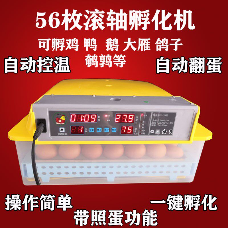 高端卵化小鸡全自动卵化器迷你小型护小鸡暖化器电卵箱孵化器