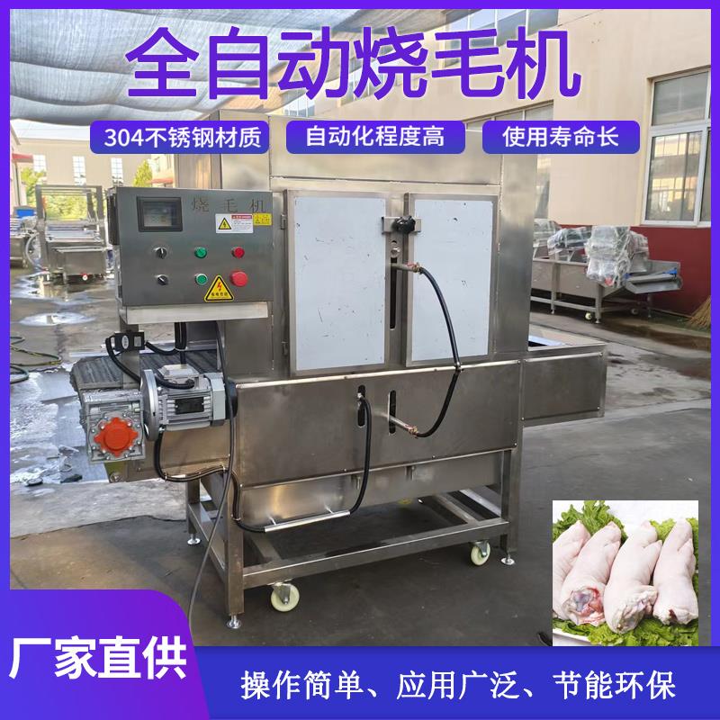 连续式烧毛机 猪头猪耳朵猪皮燎毛机 牛头羊蹄家禽类烧皮去毛设备