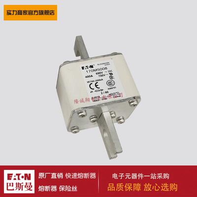 熔断器170M5008 170M5009 170M5010 170M5011 170M5012 170M5013
