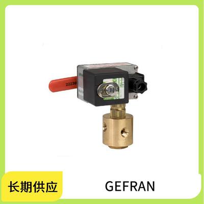 GEFRAN 杰佛伦 T4P-1-K-6-R-U 010D000X00000XX 精度电子尺