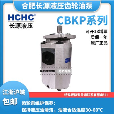 合肥长源齿轮油泵CBKP32/40/50/63/80/100-BFP/BFH/BFX/BF